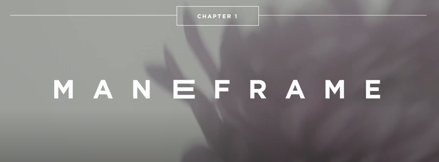 Continuing Medical Education Resources - National Alopecia Areata ...